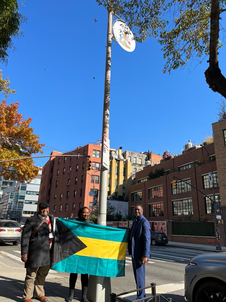 NEW YORK CITY COMPLETES RESTORATION OF NATIONAL MEDALLIONS ALONG AVENUE ...
