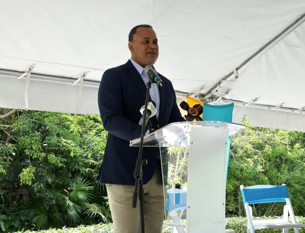 HALKITIS SAYS BAHAMAS CAN SEE SIGNIFICANT REVENUE FROM BLUE CARBON ...